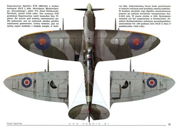Amazing facts about Supermarine Spitfire - Crew Daily