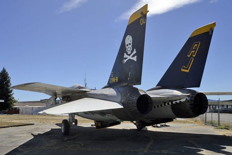 Amazing facts about F-14 Tomcat - Crew Daily