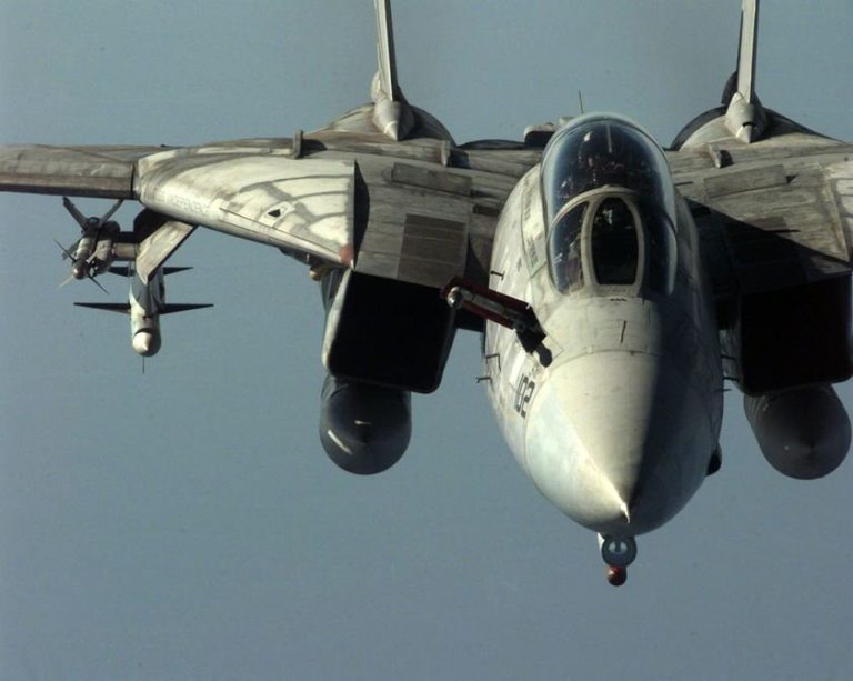 Amazing facts about F-14 Tomcat - Crew Daily