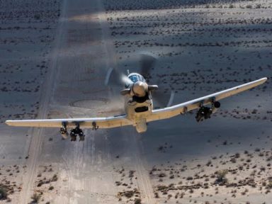 Interesting facts about the Beechcraft AT-6 Wolverine - Crew Daily