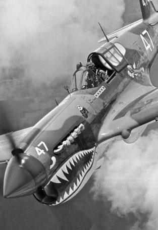 Interesting facts about the Curtiss P-40 Warhawk - Crew Daily