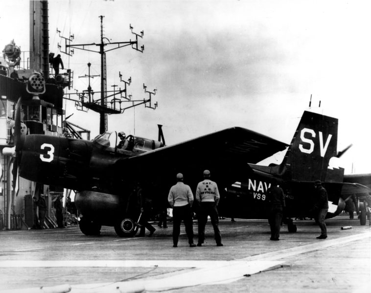 Grumman AF Guardian: Carrierborne ASW (Anti-Submarine Warfare) Aircraft ...