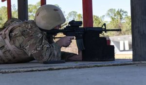 Catm (Combat Arms Training and Maintenance)